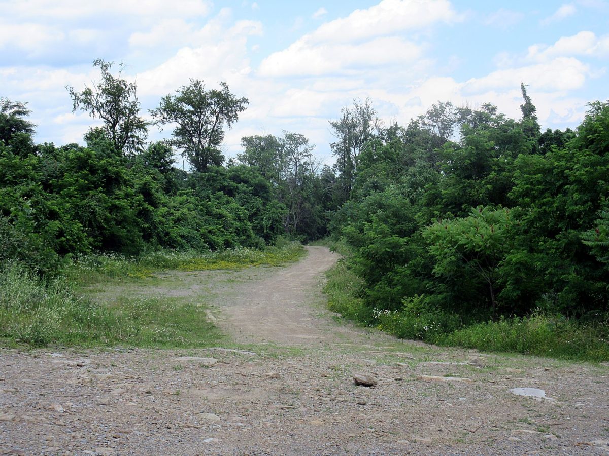 Ticking timeline - Observer-Reporter